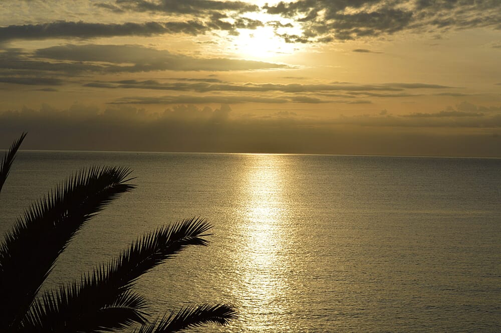 The Essence of Life: Seven Thought-Provoking Quotes About Water ...