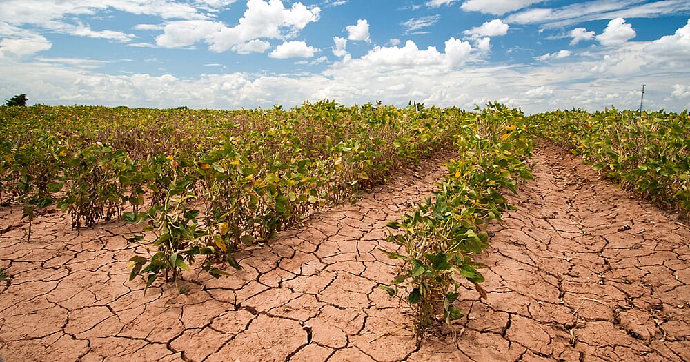 7 Causes of Water Scarcity in the United States - Husqvarna Water